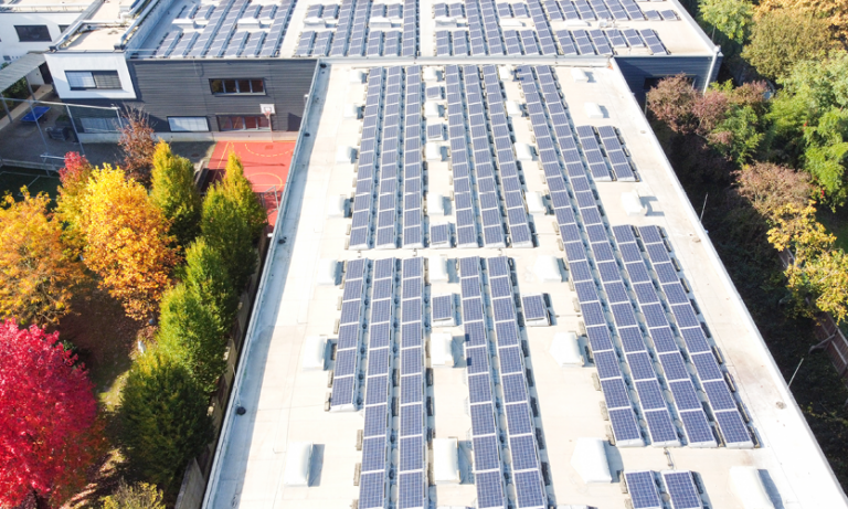 LOGICDATA | Company Insights